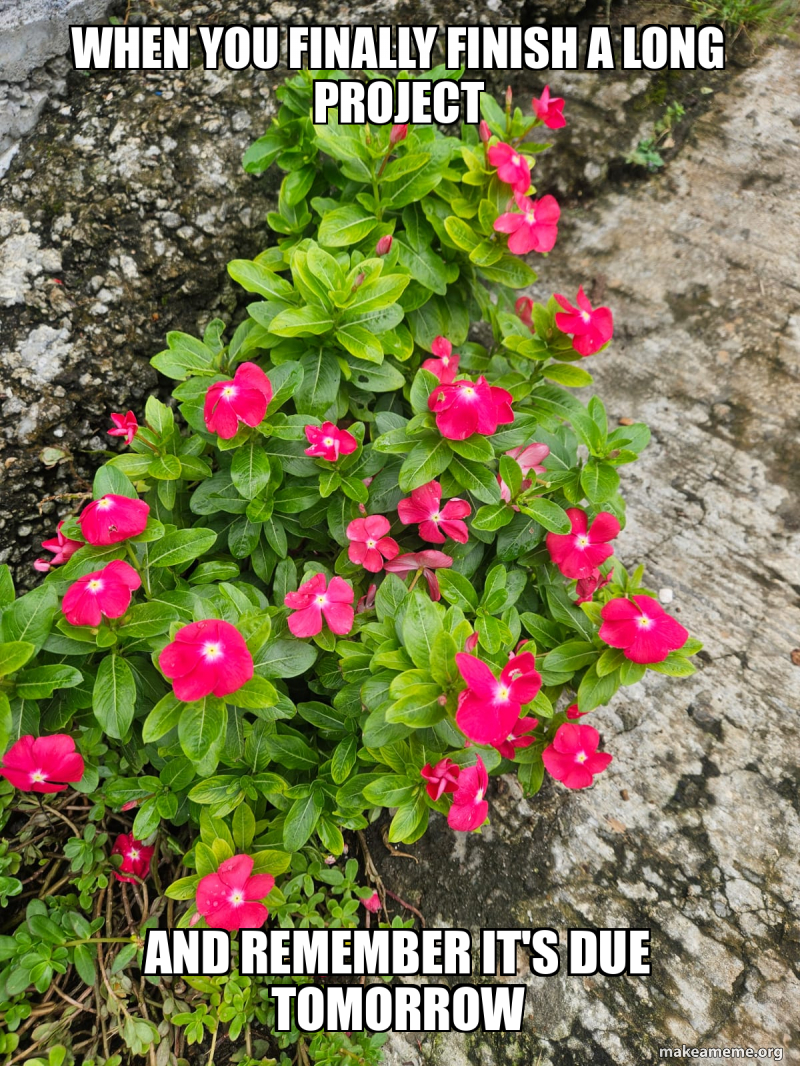 When you finally finish a long project And remember it's due tomorrow ...