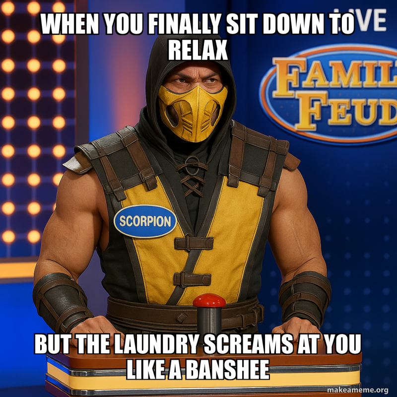 When you finally sit down to relax But the laundry screams at you like ...