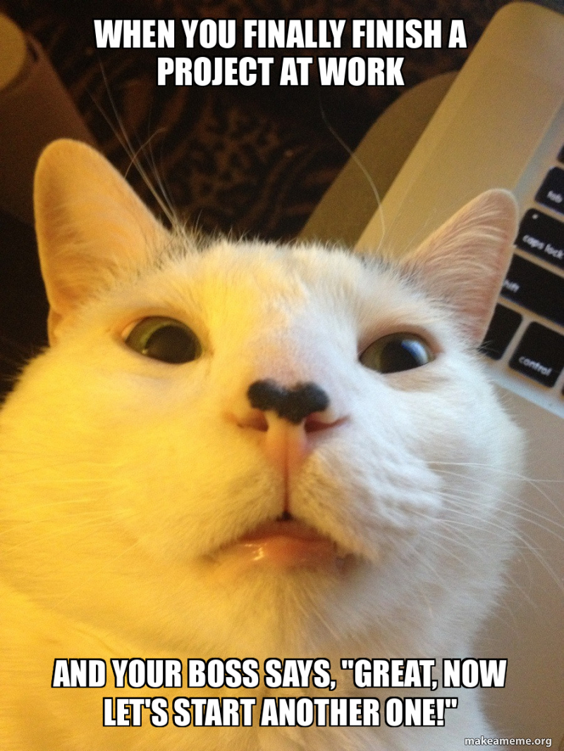 When you finally finish a project at work And your boss says, "Great ...