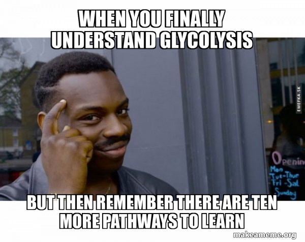 When you finally understand glycolysis But then remember there are ten ...