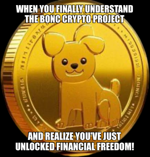 When you finally understand the Bonc crypto project And realize you've ...