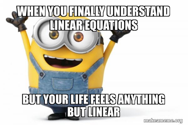 When you finally understand linear equations But your life feels ...