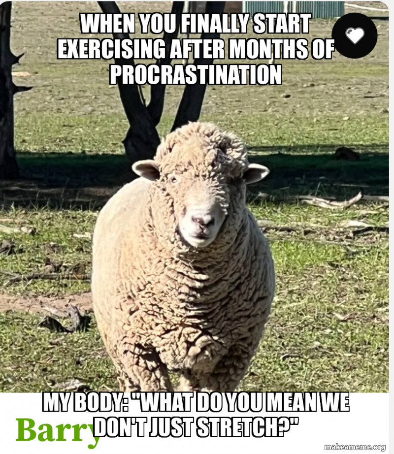 When you finally start exercising after months of procrastination My ...