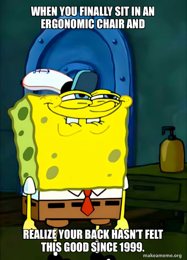 When you finally sit in an ergonomic chair and realize your back hasn’t ...