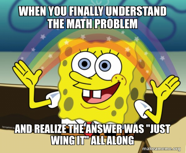 When you finally understand the math problem And realize the answer was ...