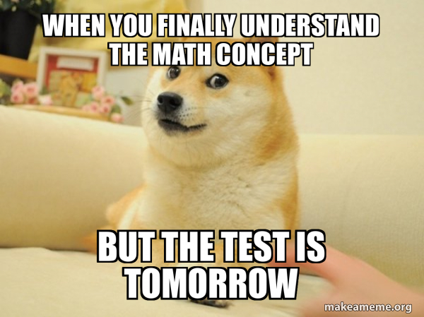 When you finally understand the math concept But the test is tomorrow ...