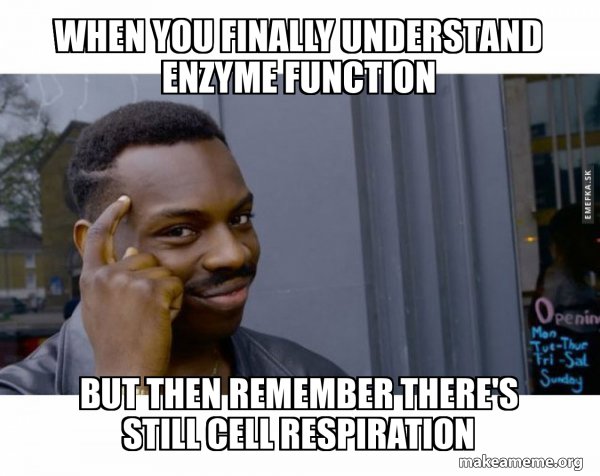When you finally understand enzyme function But then remember there's ...