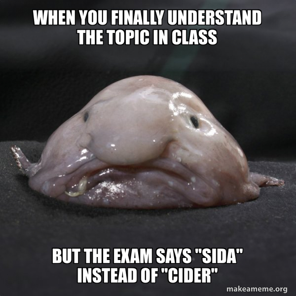 When you finally understand the topic in class But the exam says "sida ...