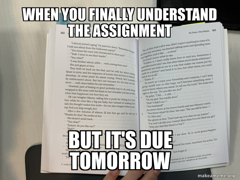 When you finally understand the assignment But it's due tomorrow Meme ...