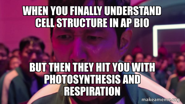When you finally understand cell structure in AP Bio But then they hit ...