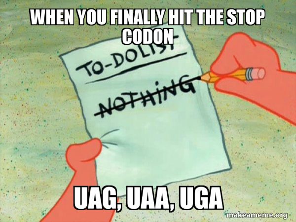 When you finally hit the stop codon UAG, UAA, UGA - TO-DO List Meme ...
