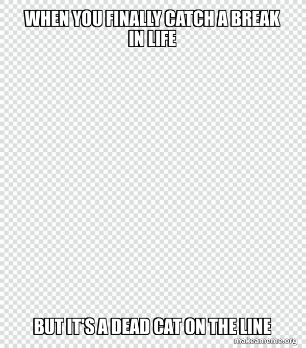 When you finally catch a break in life But it's a dead cat on the line ...