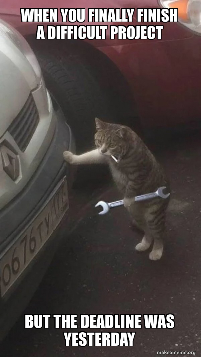 When you finally finish a difficult project But the deadline was ...