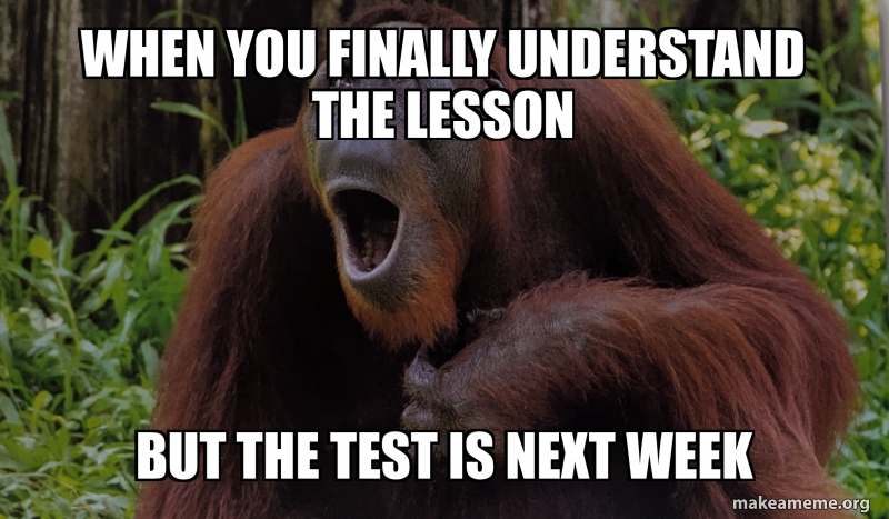 When you finally understand the lesson But the test is next week Meme ...