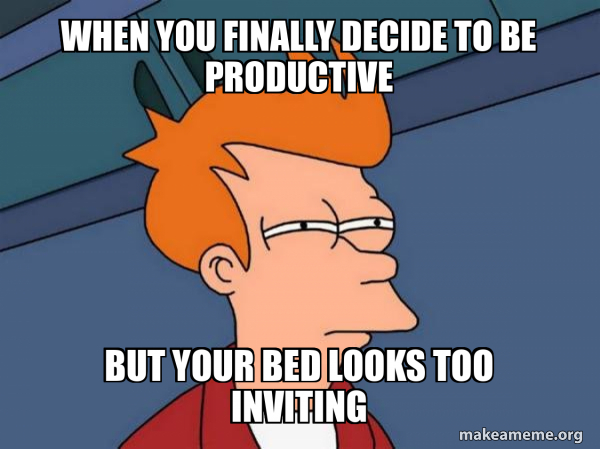 When you finally decide to be productive But your bed looks too ...