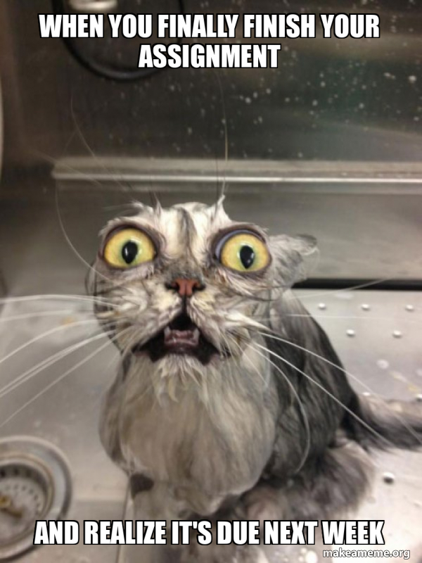 When you finally finish your assignment And realize it's due next week ...