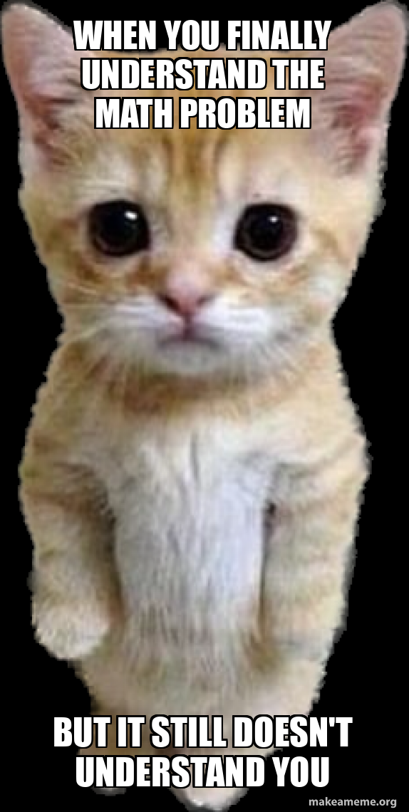 When you finally understand the math problem But it still doesn't understand you Meme Generator