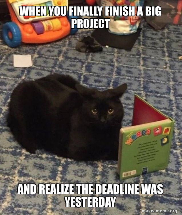 When you finally finish a big project And realize the deadline was ...