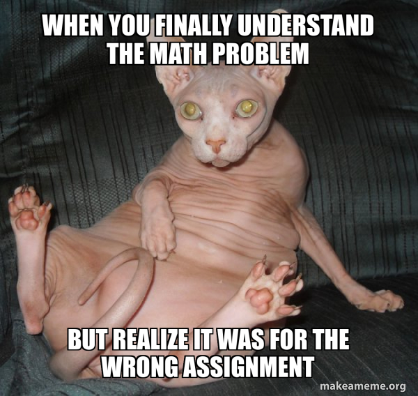 When you finally understand the math problem But realize it was for the ...