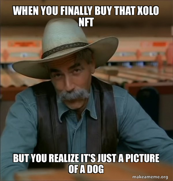 When you finally buy that Xolo NFT But you realize it's just a picture ...