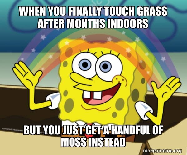 When you finally touch grass after months indoors But you just get a ...