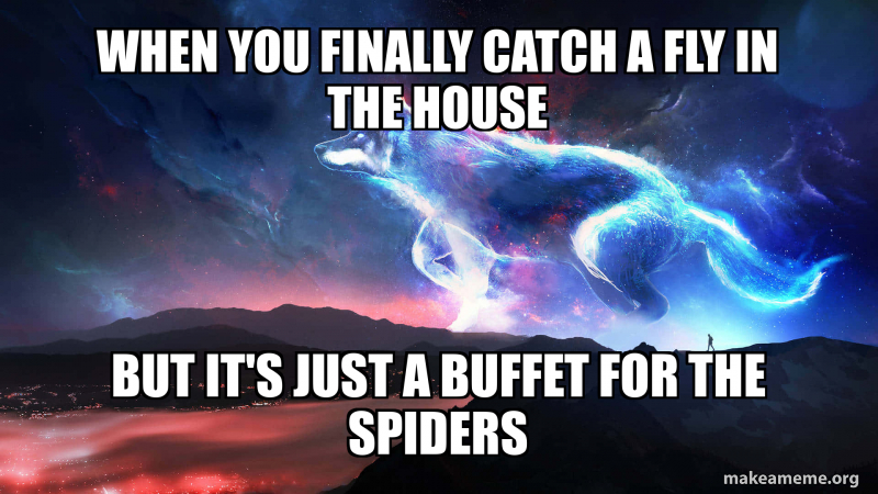 When you finally catch a fly in the house But it's just a buffet for ...