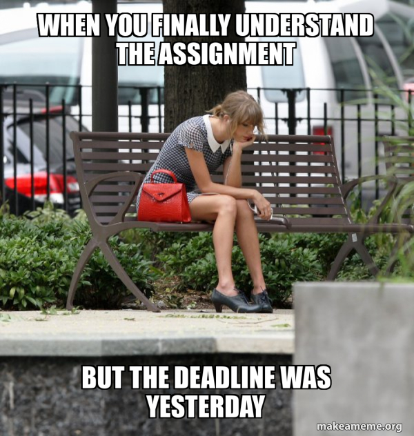 When you finally understand the assignment But the deadline was yesterday - Sad Taylor Swift ...