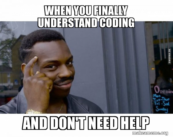when you finally understand coding And don't need help - Roll Safe ...