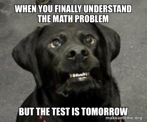 When you finally understand the math problem But the test is tomorrow ...