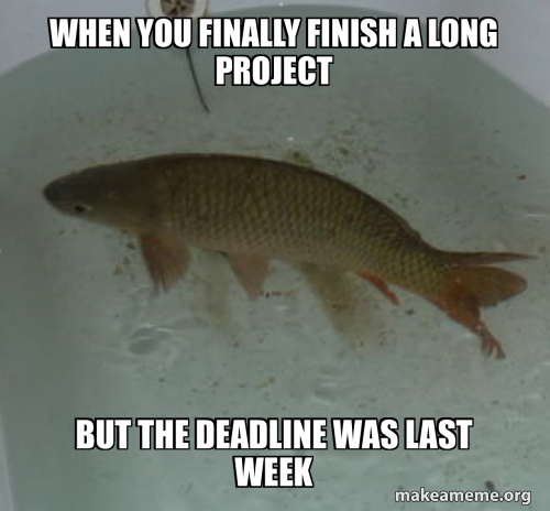 When you finally finish a long project But the deadline was last week ...