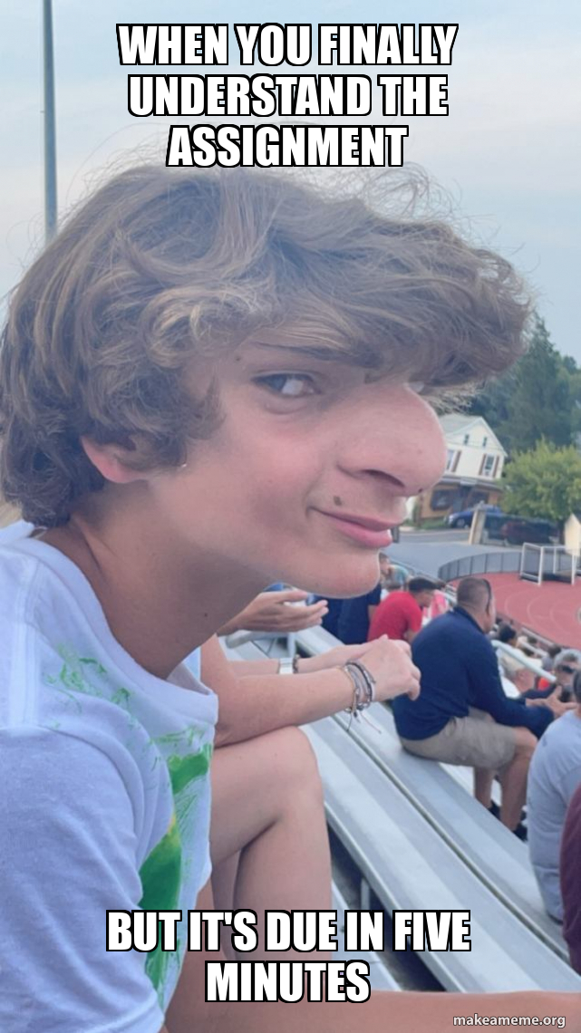 When you finally understand the assignment But it's due in five minutes ...