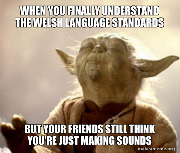 When you finally understand the Welsh language standards But your ...