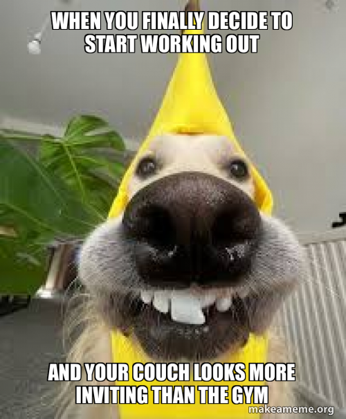 When you finally decide to start working out And your couch looks more ...