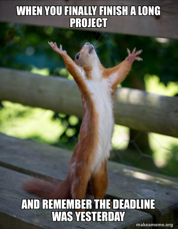When you finally finish a long project And remember the deadline was ...