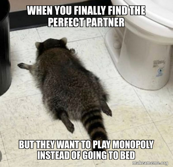 When you finally find the perfect partner But they want to play ...