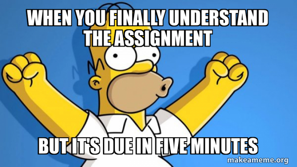When you finally understand the assignment But it's due in five minutes ...