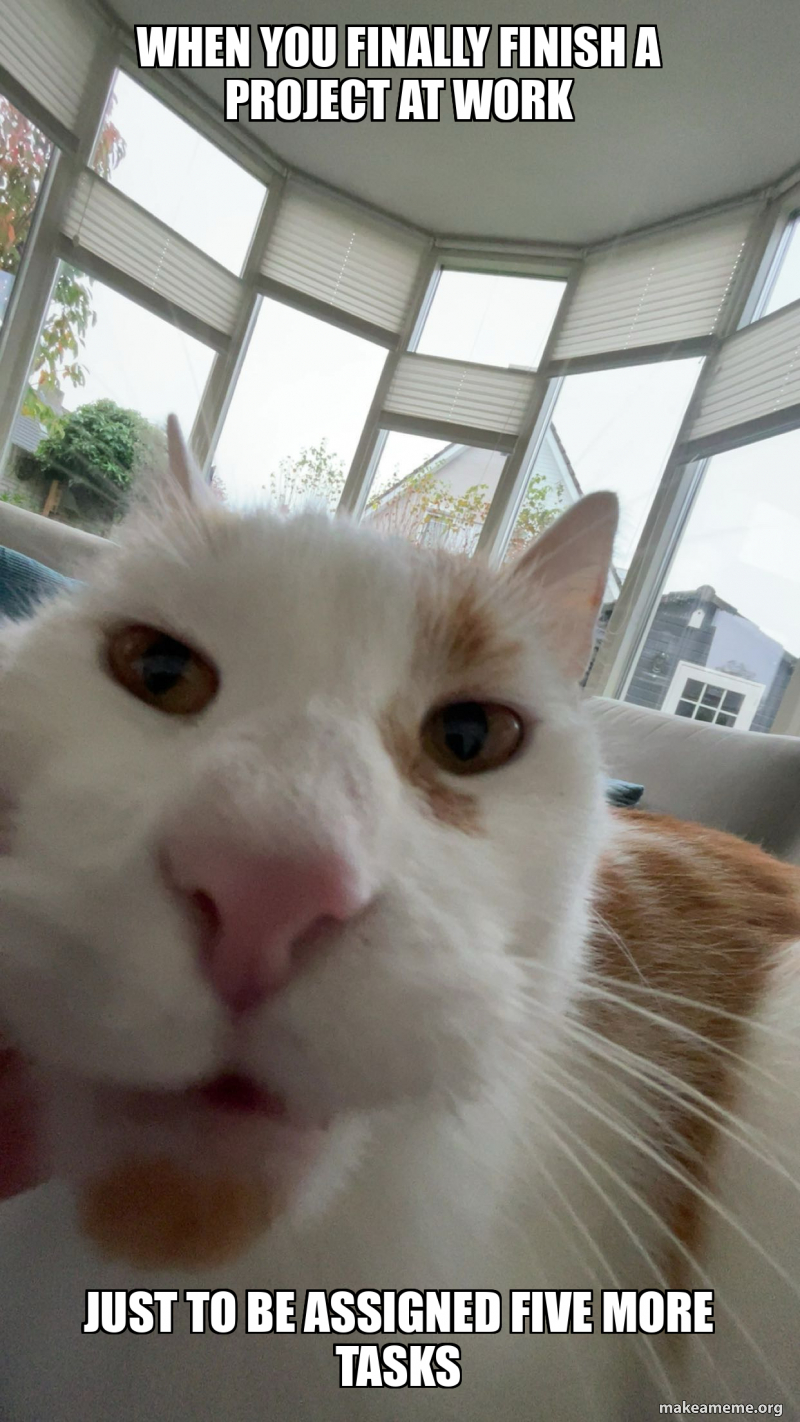 When you finally finish a project at work Just to be assigned five more tasks Meme Generator