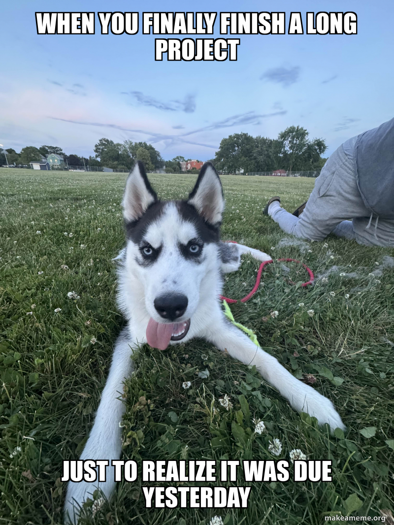 When you finally finish a long project Just to realize it was due ...