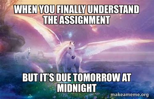 When you finally understand the assignment But it’s due tomorrow at ...