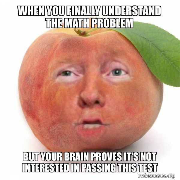 When you finally understand the math problem But your brain proves it's not interested in ...
