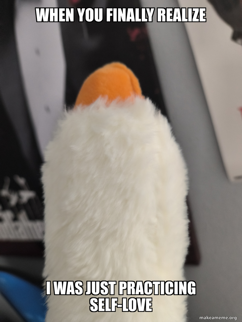 When you finally realize I was just practicing self-love Meme Generator