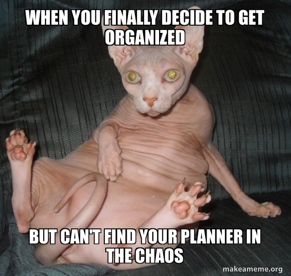 When you finally decide to get organized But can't find your planner in ...