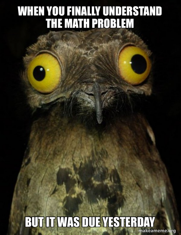 When you finally understand the math problem But it was due yesterday ...