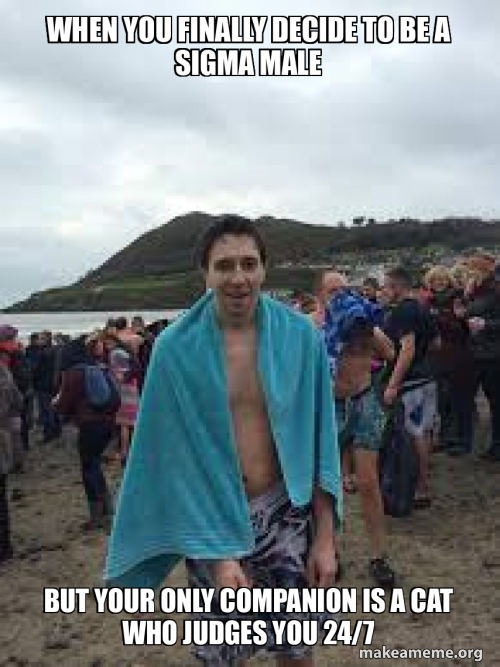 When you finally decide to be a sigma male But your only companion is a ...