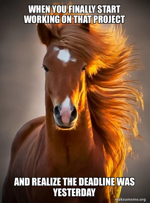 When you finally start working on that project And realize the deadline ...