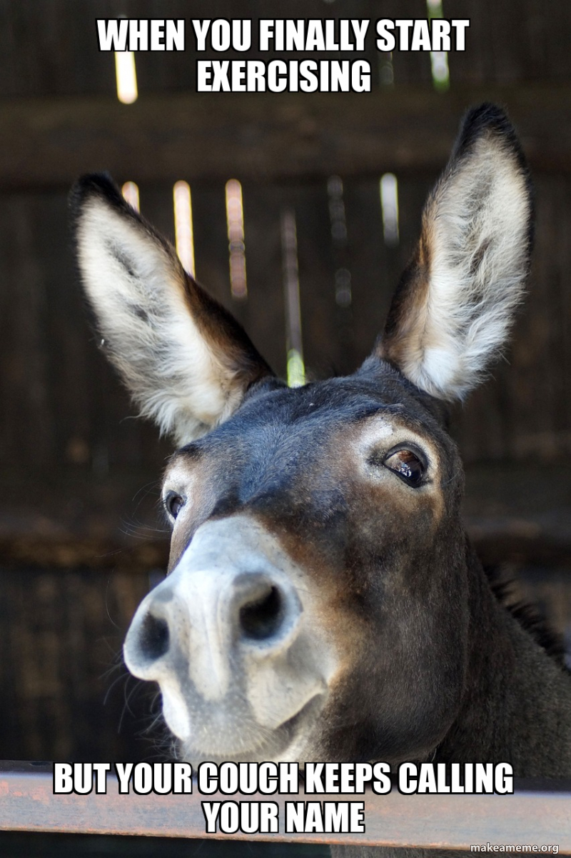 When you finally start exercising But your couch keeps calling your ...