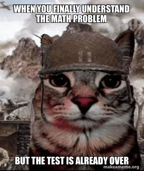 When you finally understand the math problem But the test is already ...