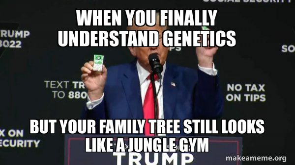 When you finally understand genetics But your family tree still looks ...