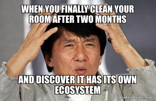 When you finally clean your room after two months And discover it has ...