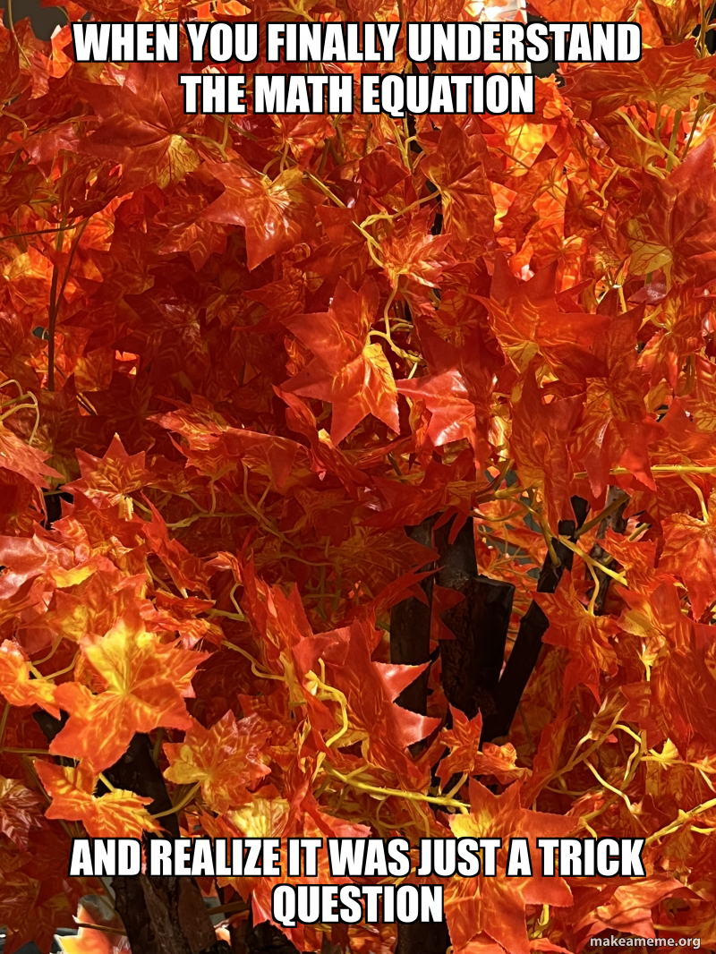 When you finally understand the math equation And realize it was just a trick question Meme ...